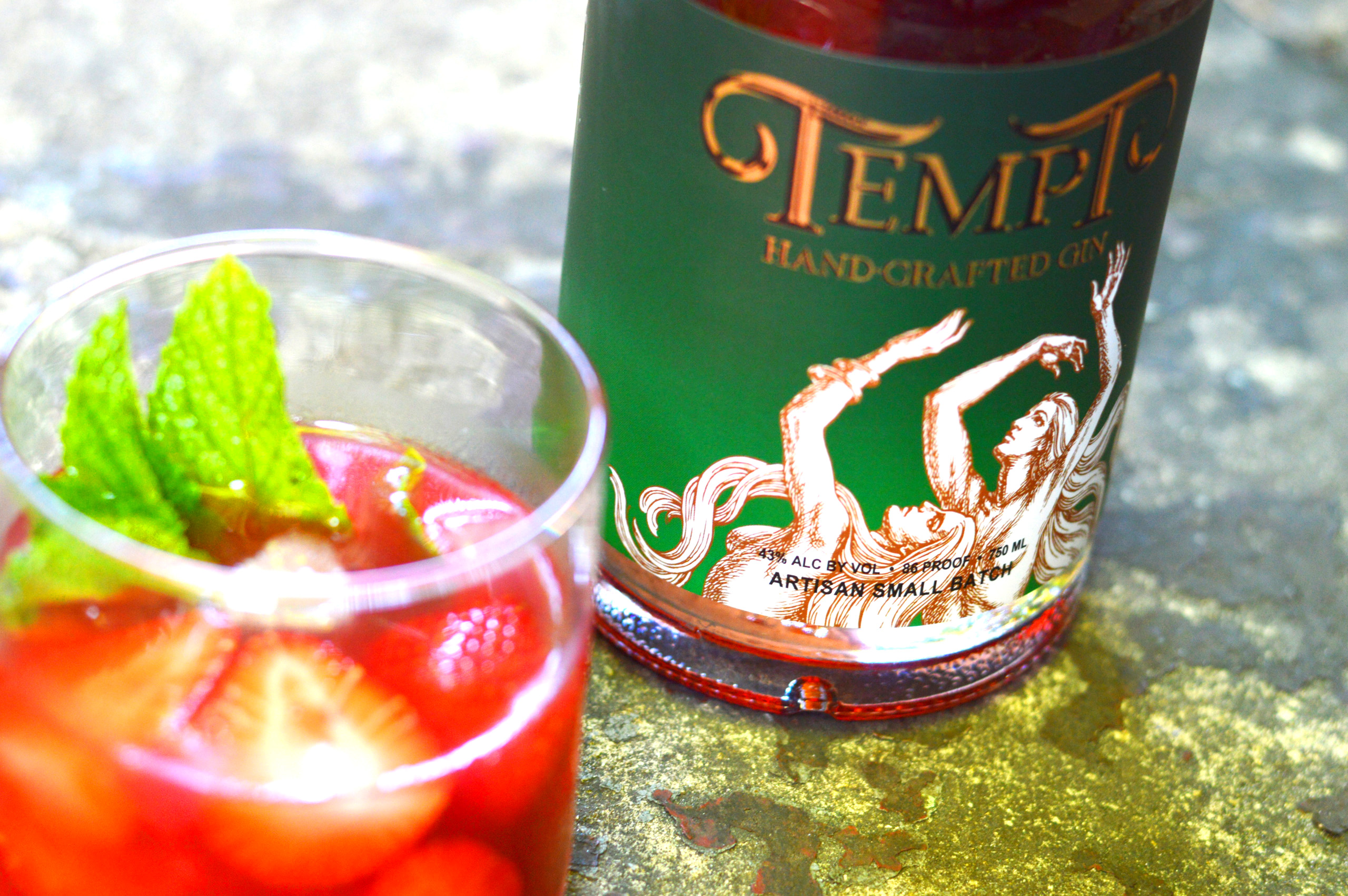 Tempt Gin - Handcrafted Gin